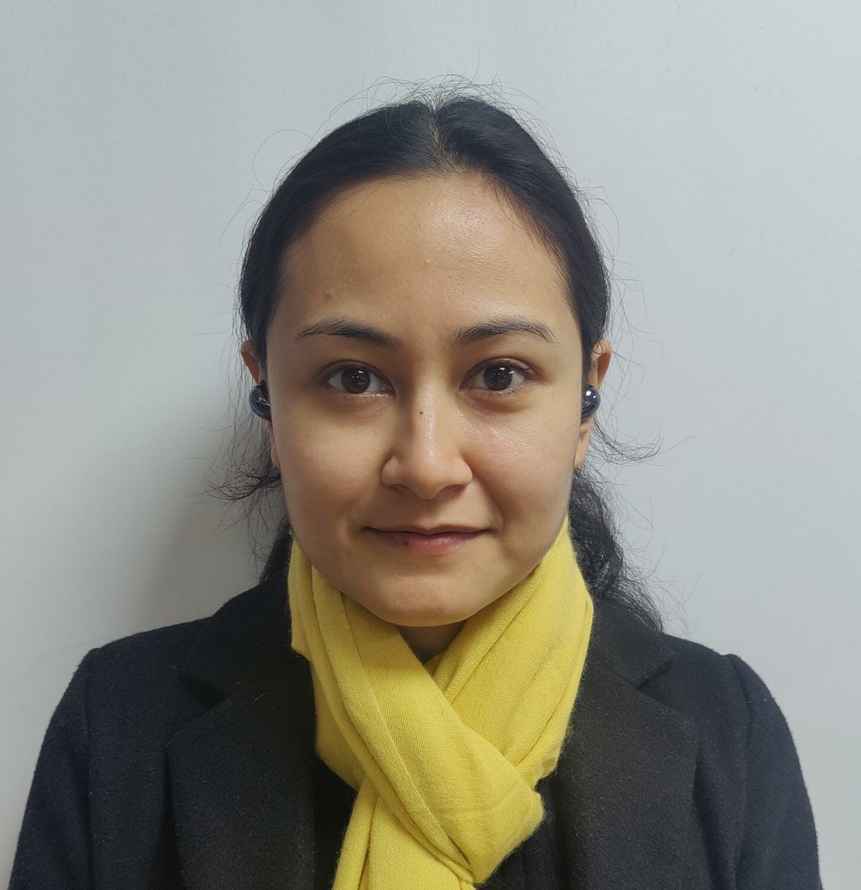 Sectoral Potential Realization - Primus Partners - Navigating India – A complex opportunity